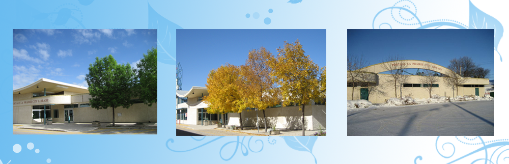 Library – Portage Library